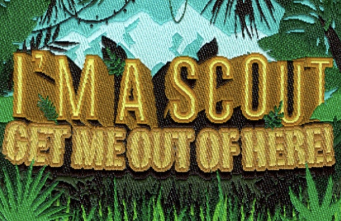 Scouts Monday 21st March – 161st Hilton Scouts